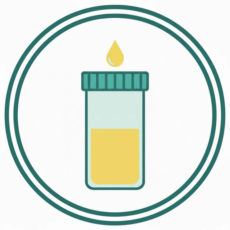 Urine Micral Test Test Home Service | Klaro Health